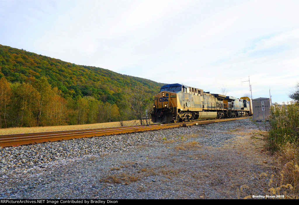 CSX Q217